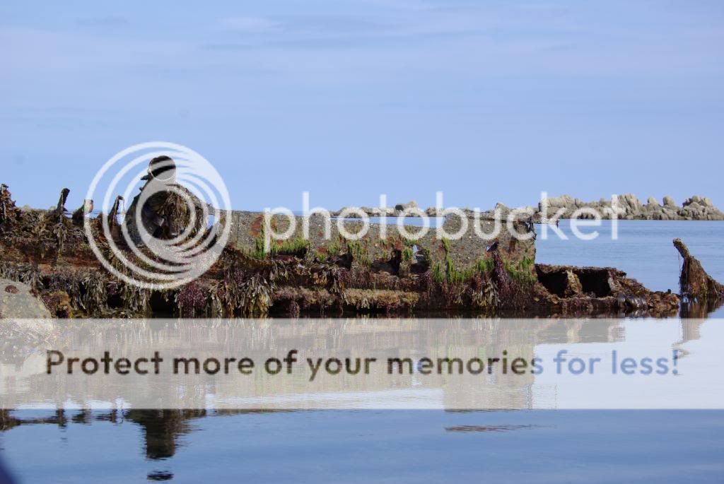 Les Minquiers | YBW Forum